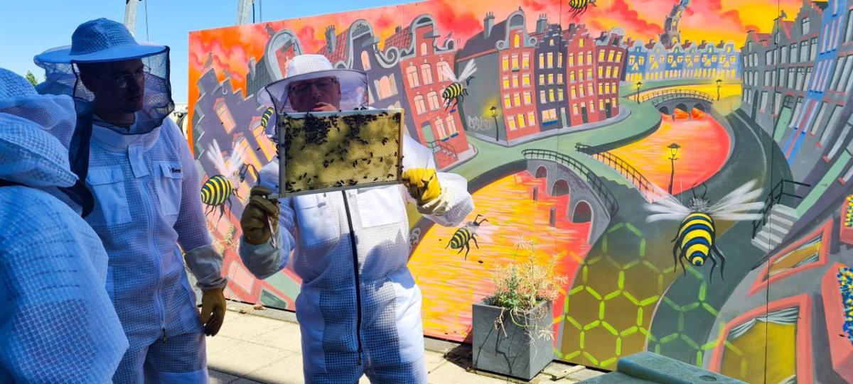 CSRWire - World Bee Day: Meet Cisco’s Connected Bees in Amsterdam